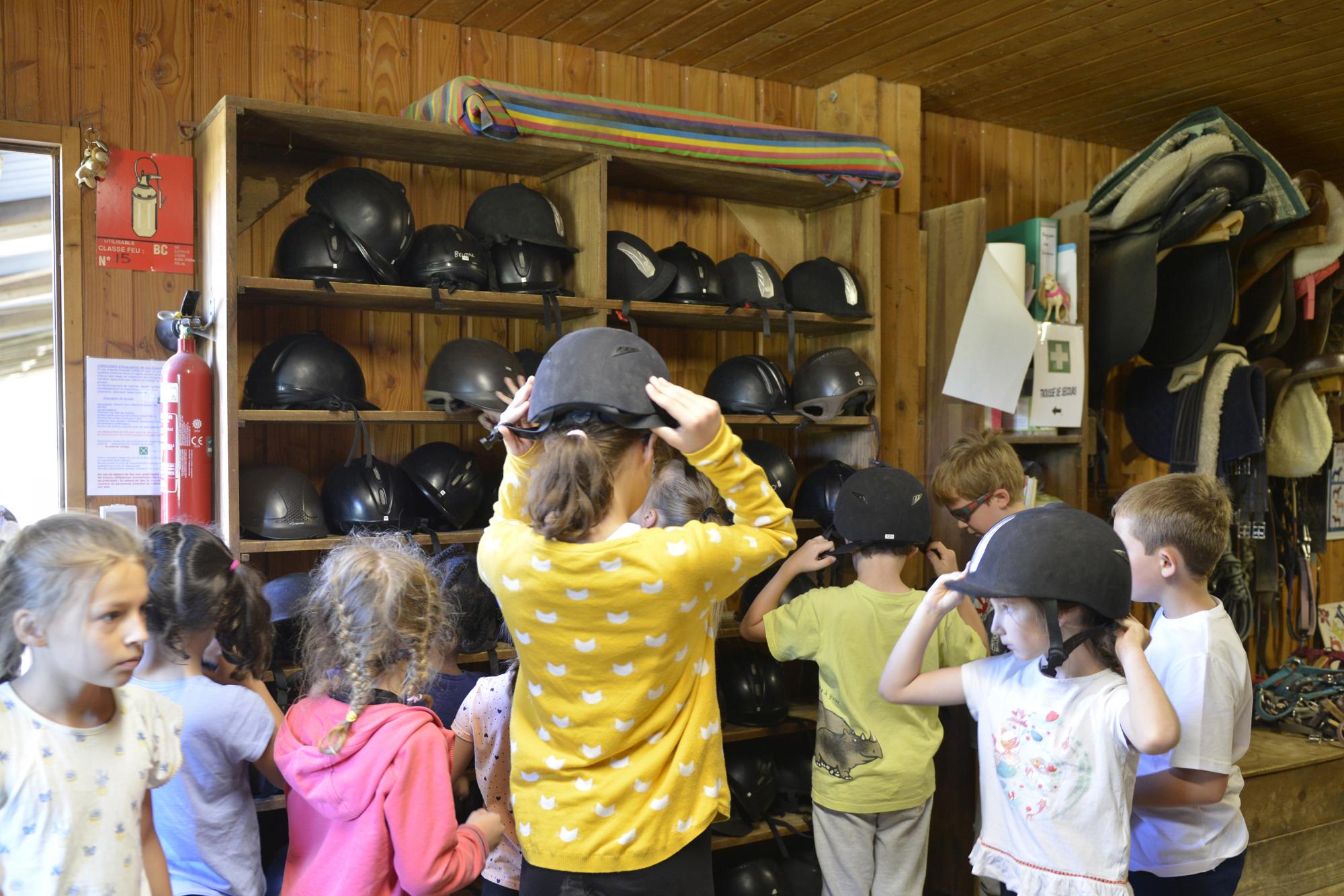 Classe cirque Yonne, Cirque Equestre de Cocico, expression corporelle ...