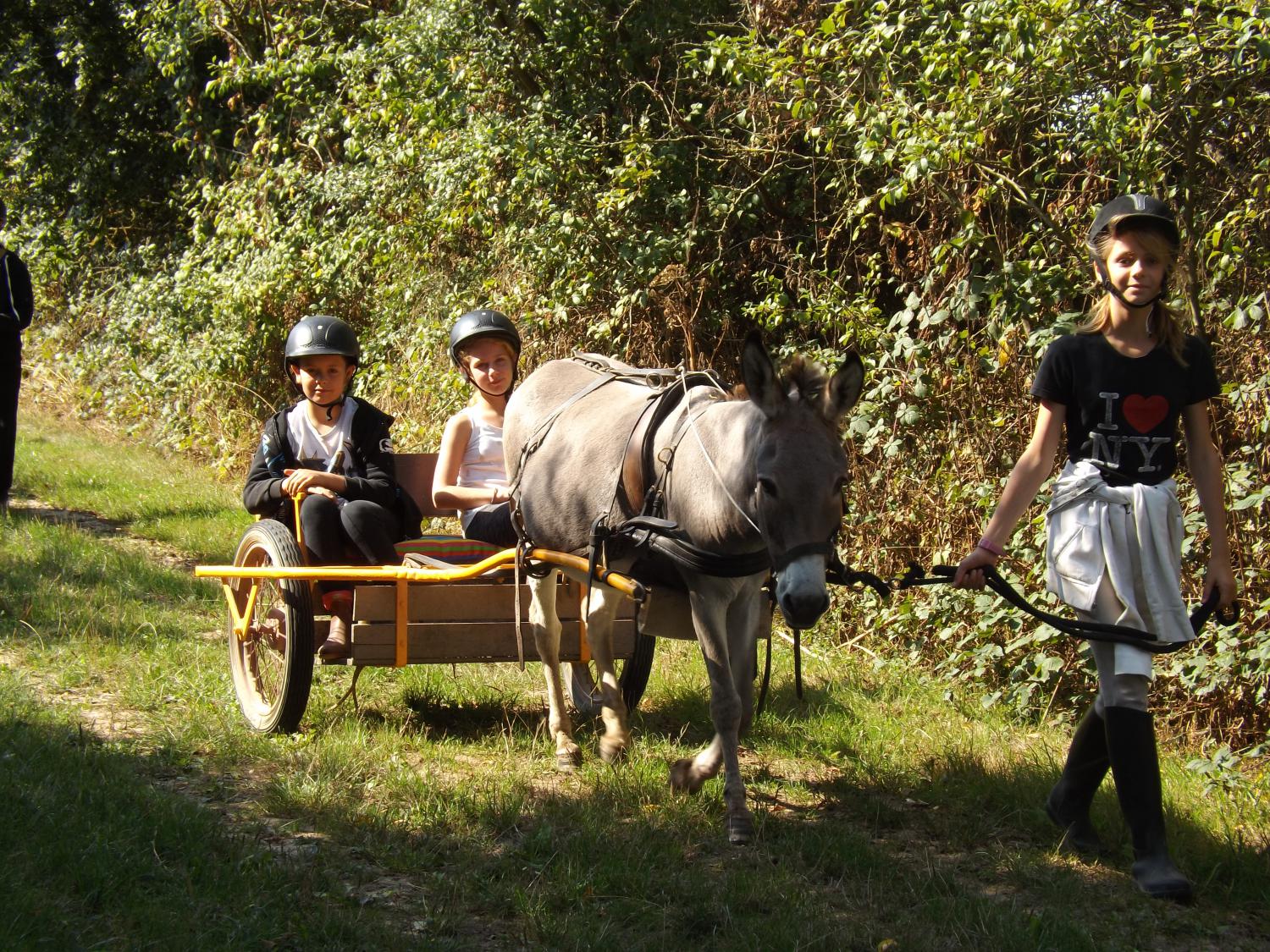 Classe cirque Yonne, Cirque Equestre de Cocico, expression corporelle ...