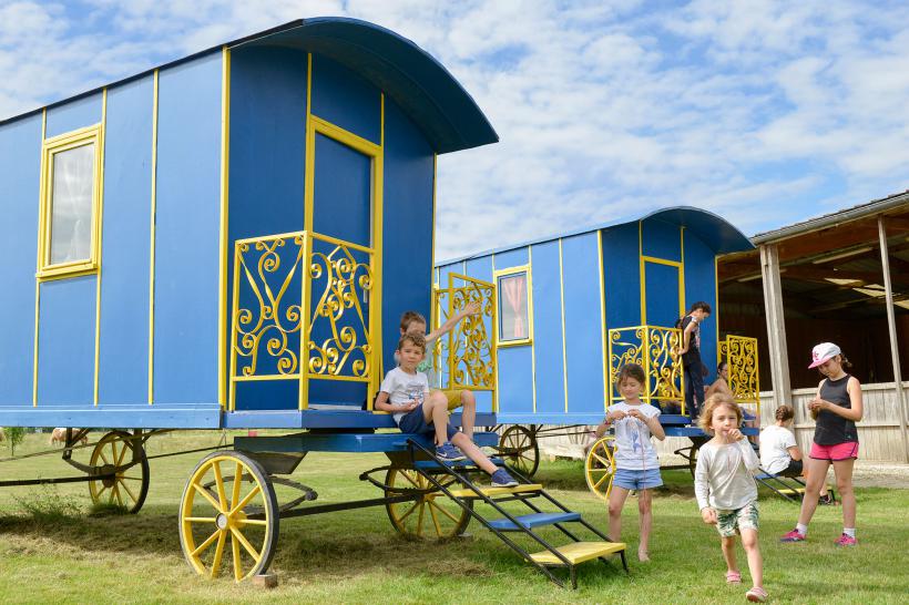 Classe decouverte Yonne, Cirque Equestre de Cocico, spectacle, centre ...