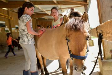 Classe decouverte Yonne, Cirque Equestre de Cocico, spectacle, centre ...