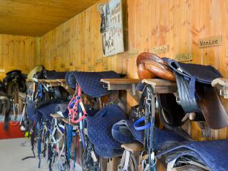 Classe decouverte Yonne, Cirque Equestre de Cocico, spectacle, centre ...